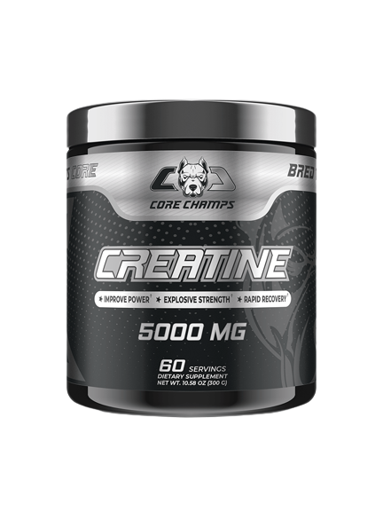 CREATINE – Fitnessisland